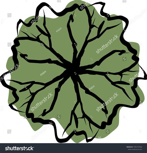 Landscape Architecture Tree Sketch Concept Design Stock Vector Royalty