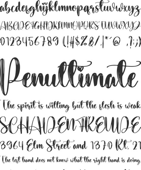 Shimmy Font Download Free For Desktop And Webfont