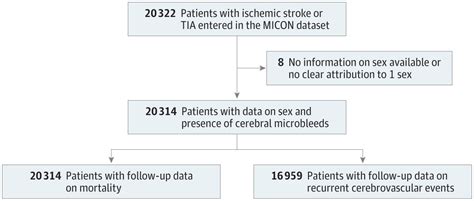Jama Network Open On Linkedin Sex Differences In Frequency Severity And Distribution Of Cerebral…