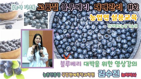 [농사기초] 고품질 블루베리 재배기술 2 블루베리 재배 블루베리란 블루베리 종류 내농장에 맞는 블루베리는 Youtube