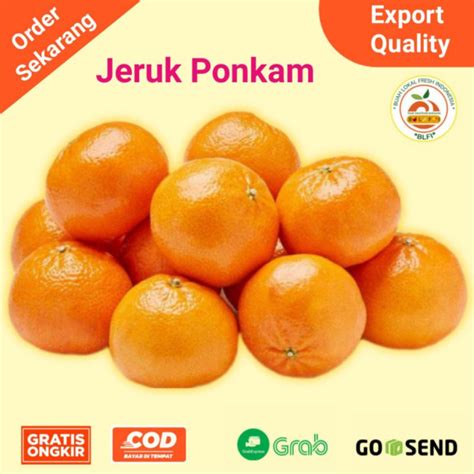 Jual Buah Jeruk Wokam Wogan Jeruk Mandarin Manis Harga Untuk 1kg