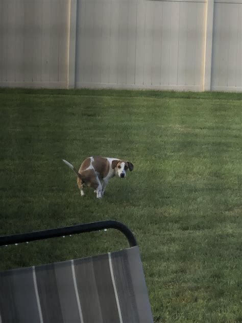 Does My Friend Look Like Jschlatt R Jschlattsubmissions