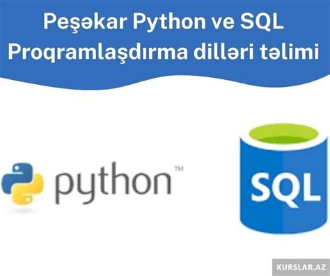 Peşəkar Python və Sql təlimi