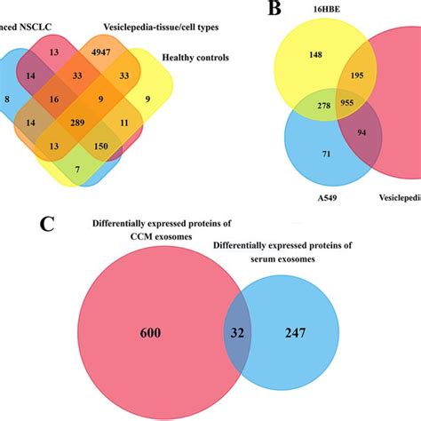 Venn Diagram Of Proteins Quantified In Serum Extracellular Vesicles