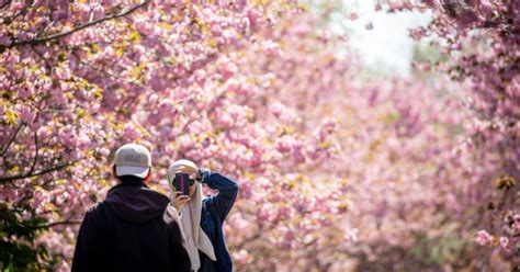 Hacemos Periodismo Infobae