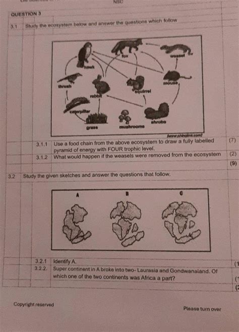 Study The Ecosystem Below And Answer The Studyx