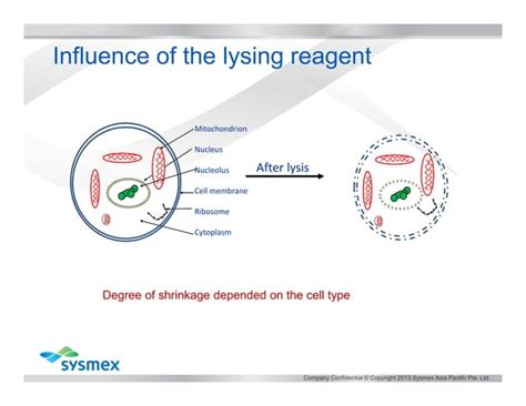 Histogram Interpretation For Result Analysis Pdf
