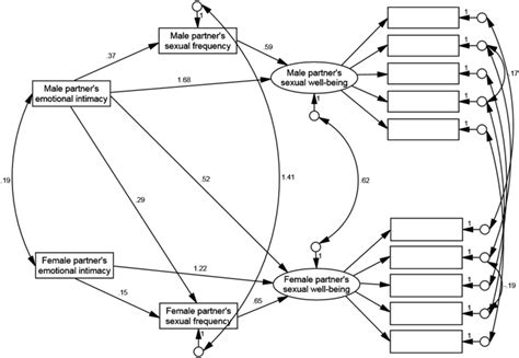 Final Path Analytic Actorpartner Interdependence Model N 677