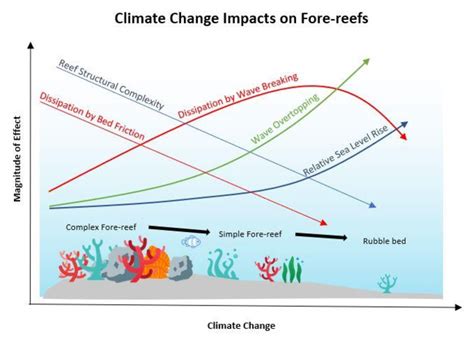 Figure 1 From The Influence Of Coral Reef Spur And Groove Morphology On Wave Attenuation
