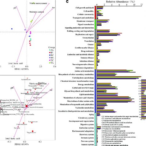 A Typical Isolated Colonies Of Lactobacillus Spp On Mrs Media B