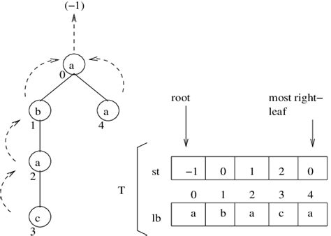 Representation Of A Tree Download Scientific Diagram
