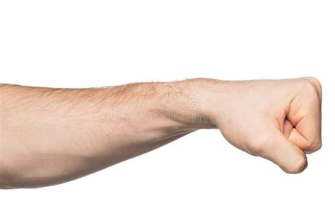Hand With Clenched A Fist Royalty Free Stock Image Hand Reference Hand Fist How To Draw Hands