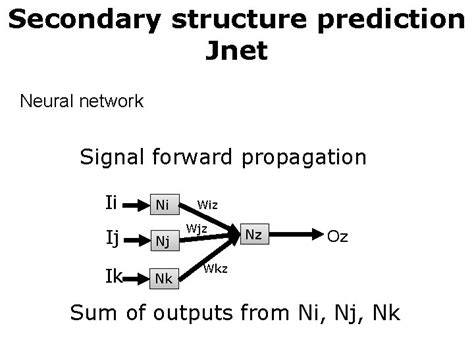 Secondary Structure Prediction Secondary Structure Prediction Amino Acid