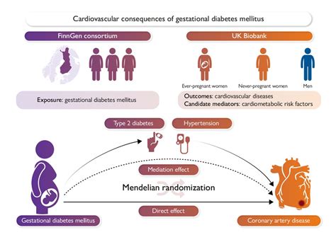 湘雅三医院张志辉教授团队在心血管领域顶刊发表原创性研究 中南大学湘雅三医院