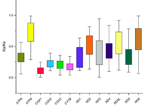 evolutionary rates of 13 protein coding genes pcgs within 20