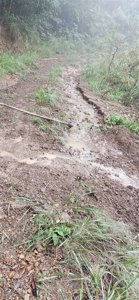 两村连通道路路面加宽及硬化 群众呼声麻辣问政 四川省网上群众工作平台 旺苍县委书记