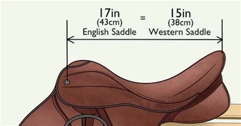 How To Measure A Saddle 2025 Proven Guide For Usa Riders