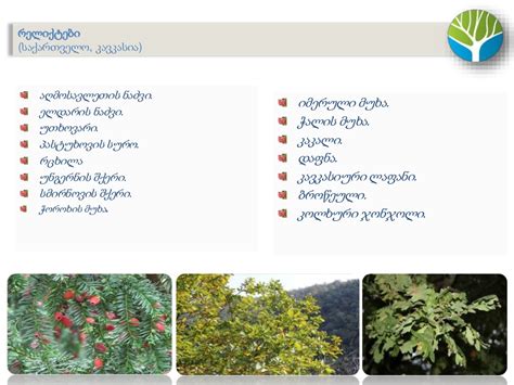 გავუფრთხილდეთ ცოცხალ ბუნებას პროექტის სურათები