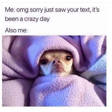 40 Memes Old But Gold Classic Memes For Classic Minds