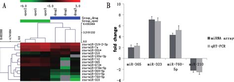 Differentially Expressed Micrornas And Verification A Hierarchical Download Scientific