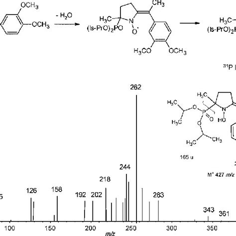 Pdf Development Of Quantitative 31p Nmr Methods For The Trapping Of