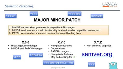 SemVer And Microservices In Go PPT