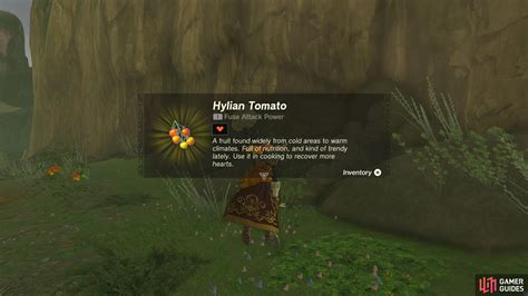 Hylian Gamer