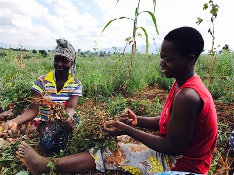 Community Highlight On Linkedin Focus Area Number 2 Poor Crop Yields