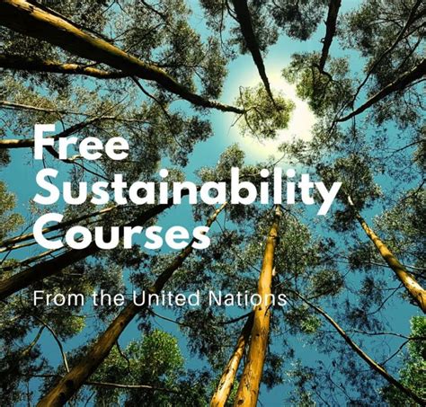 Ann Rotich On Linkedin Sustainability Sustainability Learning
