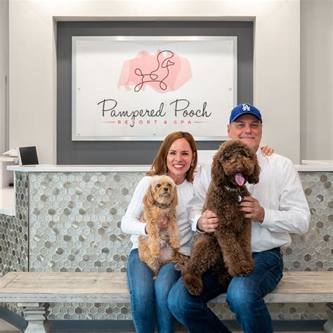 Our Community Spotlight Pampered Pooch Fivethirty Home Zionsville