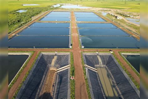 Chao Phibal On Linkedin ស្ថានីយ ប្រព្រឹត្ត កម្ម ទឹក កខ្វក់ ក្រុង ស្ទឹងសែន ជួយ ឱ្យ ពលរដ្ឋ រួចផុត ពី…