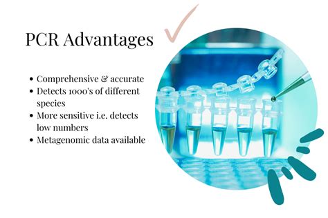 Understanding Gut Microbiome Testing A Key Component Of Our Gut Health Programs Prana Thrive