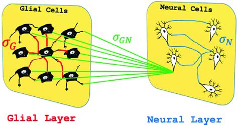 schematic diagram of multiplex network showing interlayer connections
