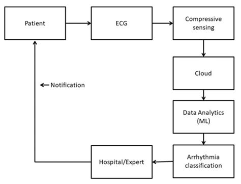Review On Compressive Sensing Algorithms For Ecg Signal For Iot Based