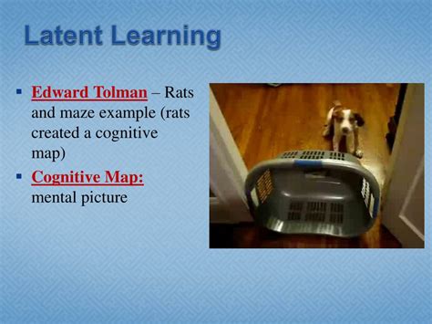 Ppt Cognitive Learning Powerpoint Presentation Free Download Id