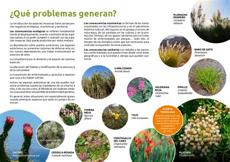 Control De Especies Exóticas Invasoras