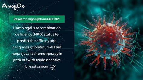 Harvey Dong On Linkedin Homologous Recombination Deficiency Hrd Status To Predict The Efficacy