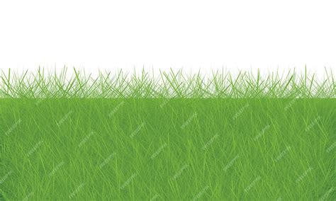 텍스트 또는 이미지를 위한 공간이 있는 녹색 잔디 바탕 터 일러스트레이션 프리미엄 벡터