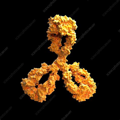 Cetuximab Chemotherapy Drug Molecule Stock Image C0359412