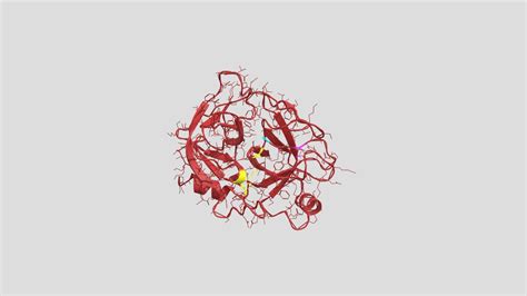 Trypsin Structure Download Free 3d Model By U12at17 [9f84da8] Sketchfab