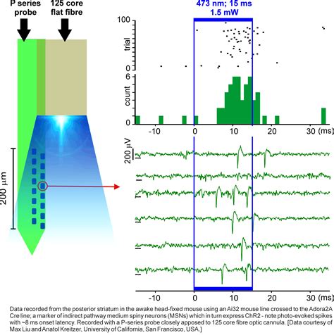Optogenetics Cambridge Neurotech