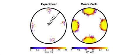Sampling Of Defect Positions In Experiment Left And Monte Carlo