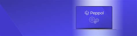 Hoe Werkt Peppol Banqup