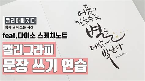 [캘리그라피] 붓펜으로 문장 쓰기 연습 Feat 다이소 스케치노트 Youtube