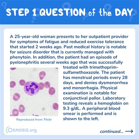 Lab Tests For Macrocytic Anemia At Jean Begaye Blog