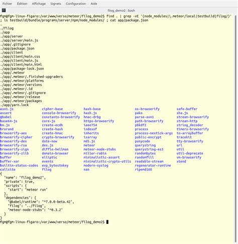 Using Local File Npm Package Makes App Crash When Deploying · Issue 9791 · Meteormeteor · Github