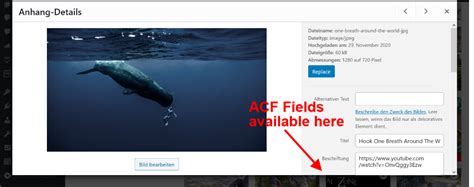 How To Use Javascript Api In Attachment Acf Support