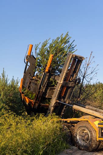 Tree Transplanter Heavy Machine Machine For Transplanting Large Trees Planting Large Spruce