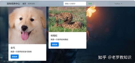 附源码 宠物领养管理系统springboot社区宠物管理系统源码 Csdn博客
