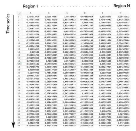 Functional Data Format Braph